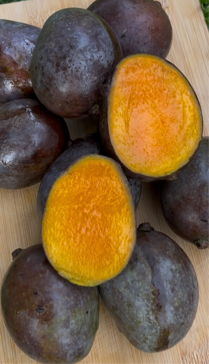 Casturi Mango | Mangifera Casturi – Pardess Farms