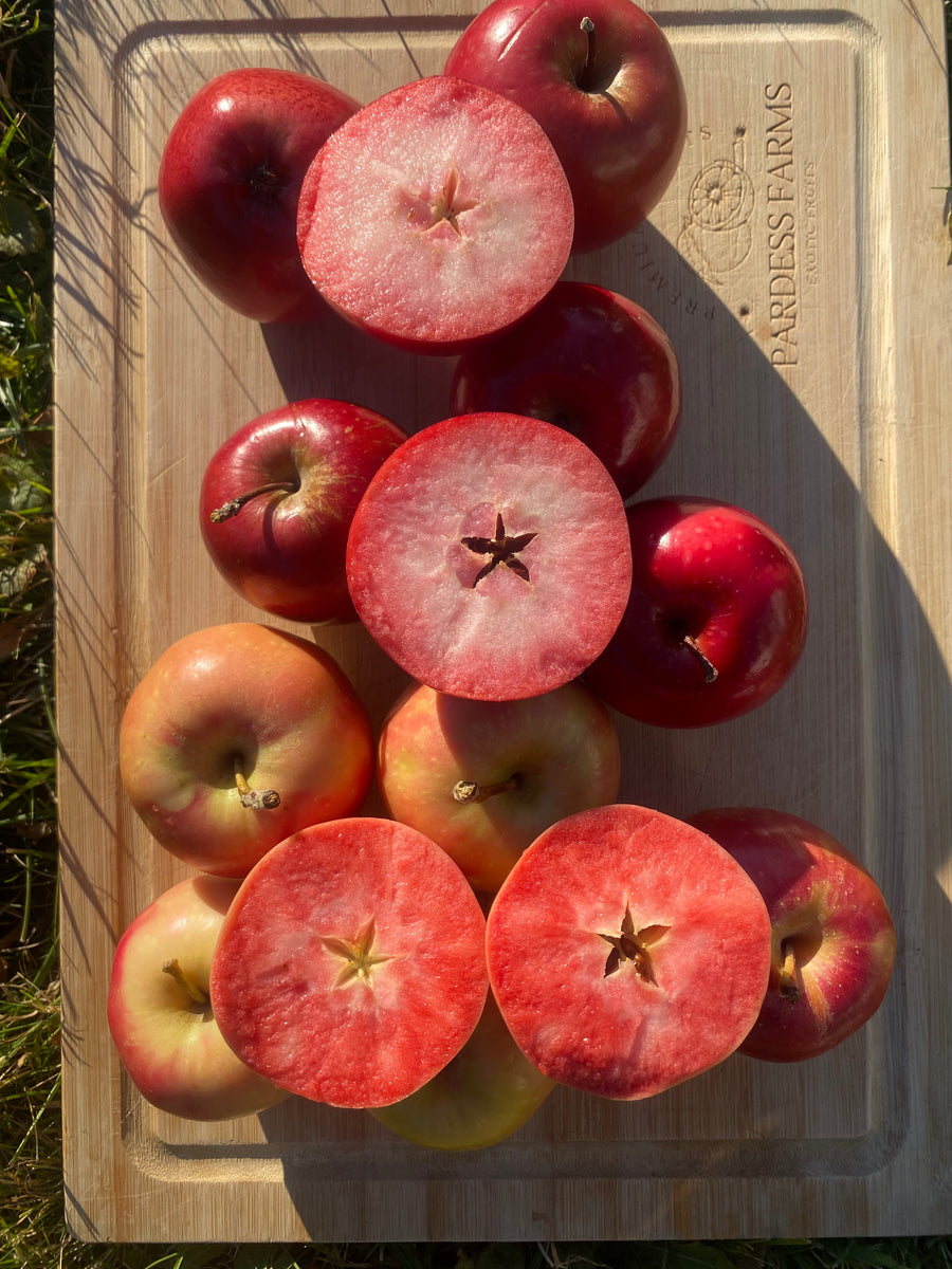 Apple | Hidden Rose Apple Box of (12-18 Fruits) – Pardess Farms