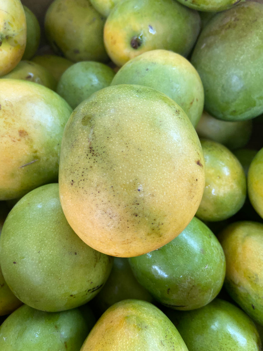 MANGO | BEEFY MANGO JAMAICA BOX (5LBS) – Pardess Farms