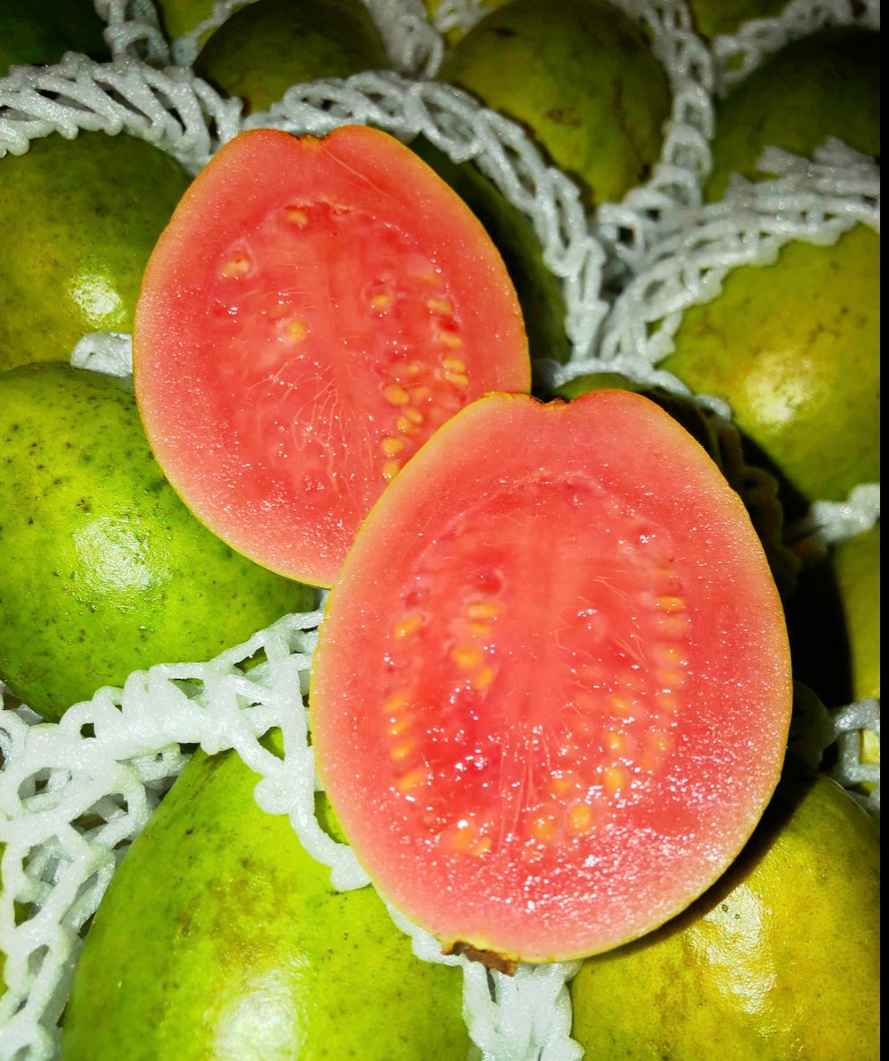 GUAVA | WATERMELON BOX ~2.2LBS (4-8 FRUITS) – Pardess Farms