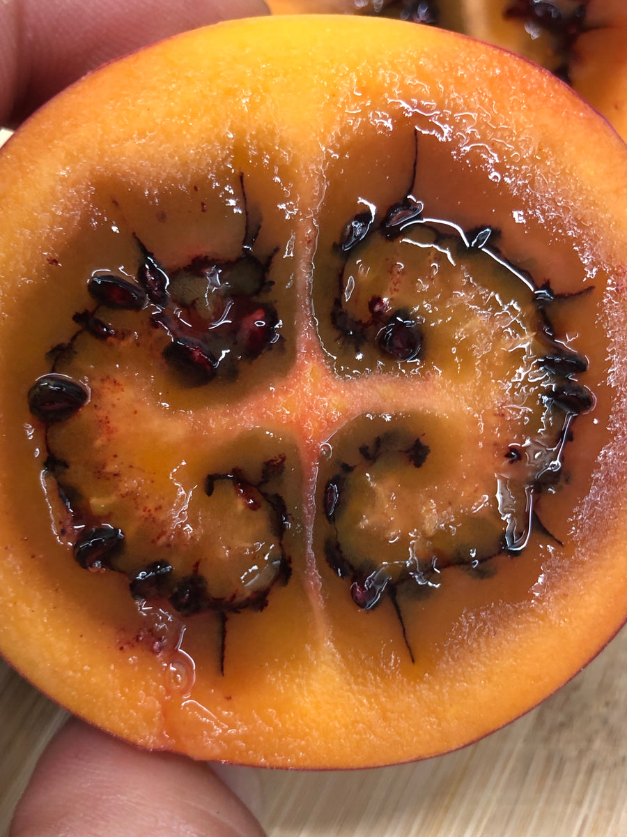 TAMARILLO | RED 2KG BOX – Pardess Farms