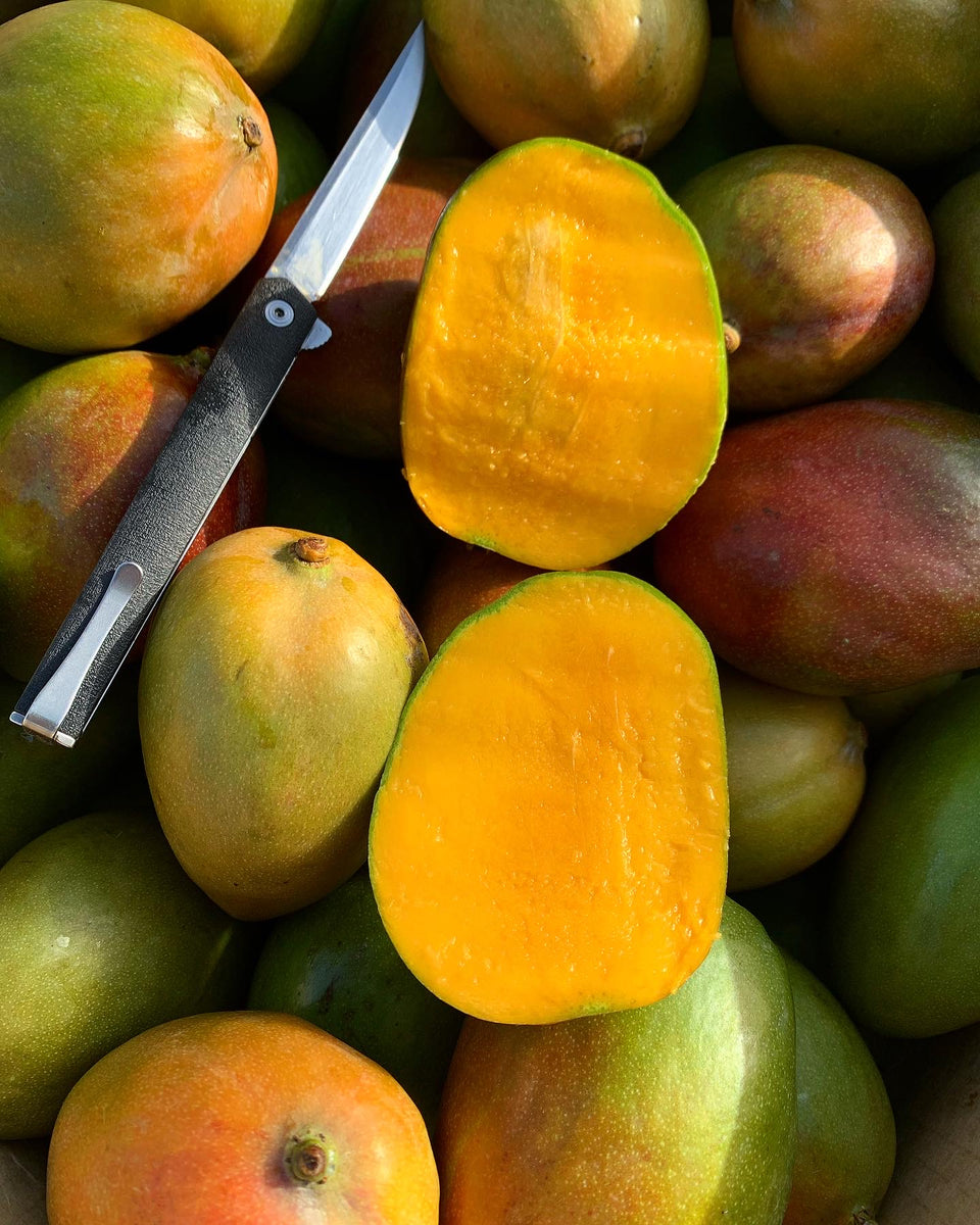 Mango | Julie Mango Jamaica 2kg Box – Pardess Farms