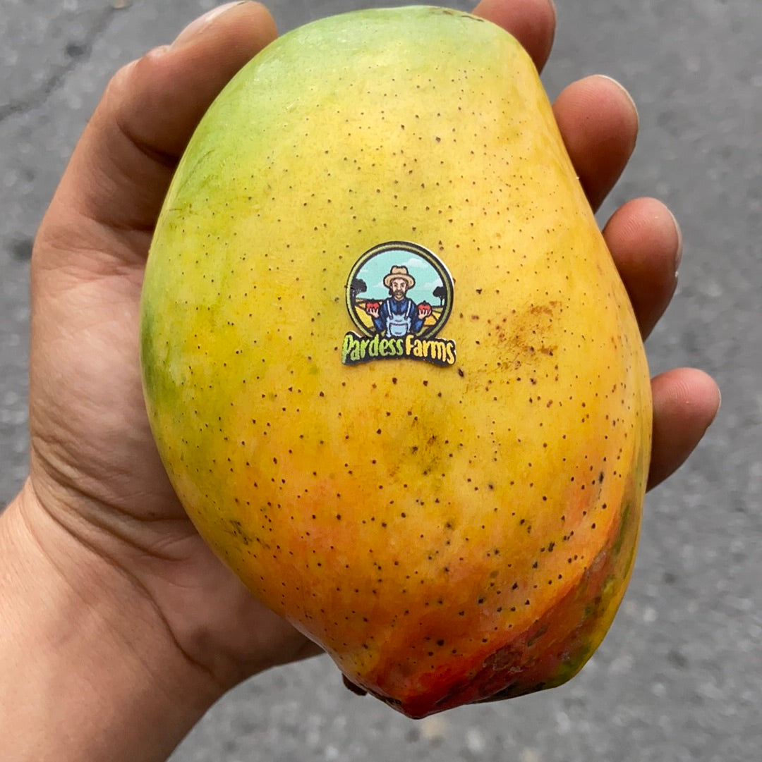 MANGO | CRIMSON EGYPT – Pardess Farms