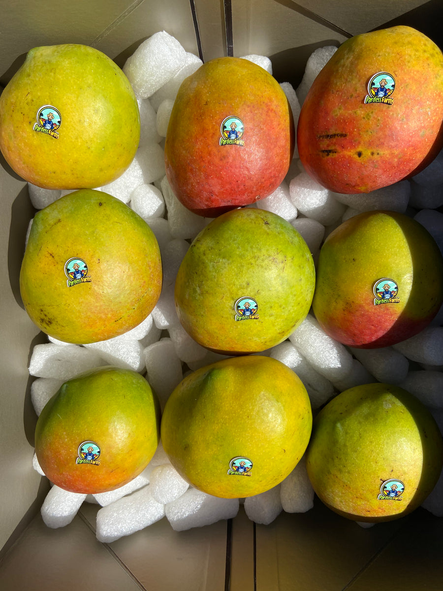 MANGO | BOMBAY (7-10 Pieces) – Pardess Farms