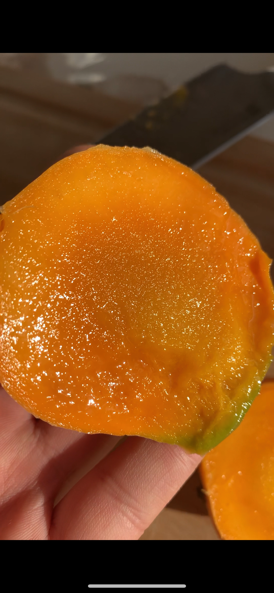 Mango Spice Mango | Guyana Box 4.4Lbs (8-15 Mangos) – Pardess Farms