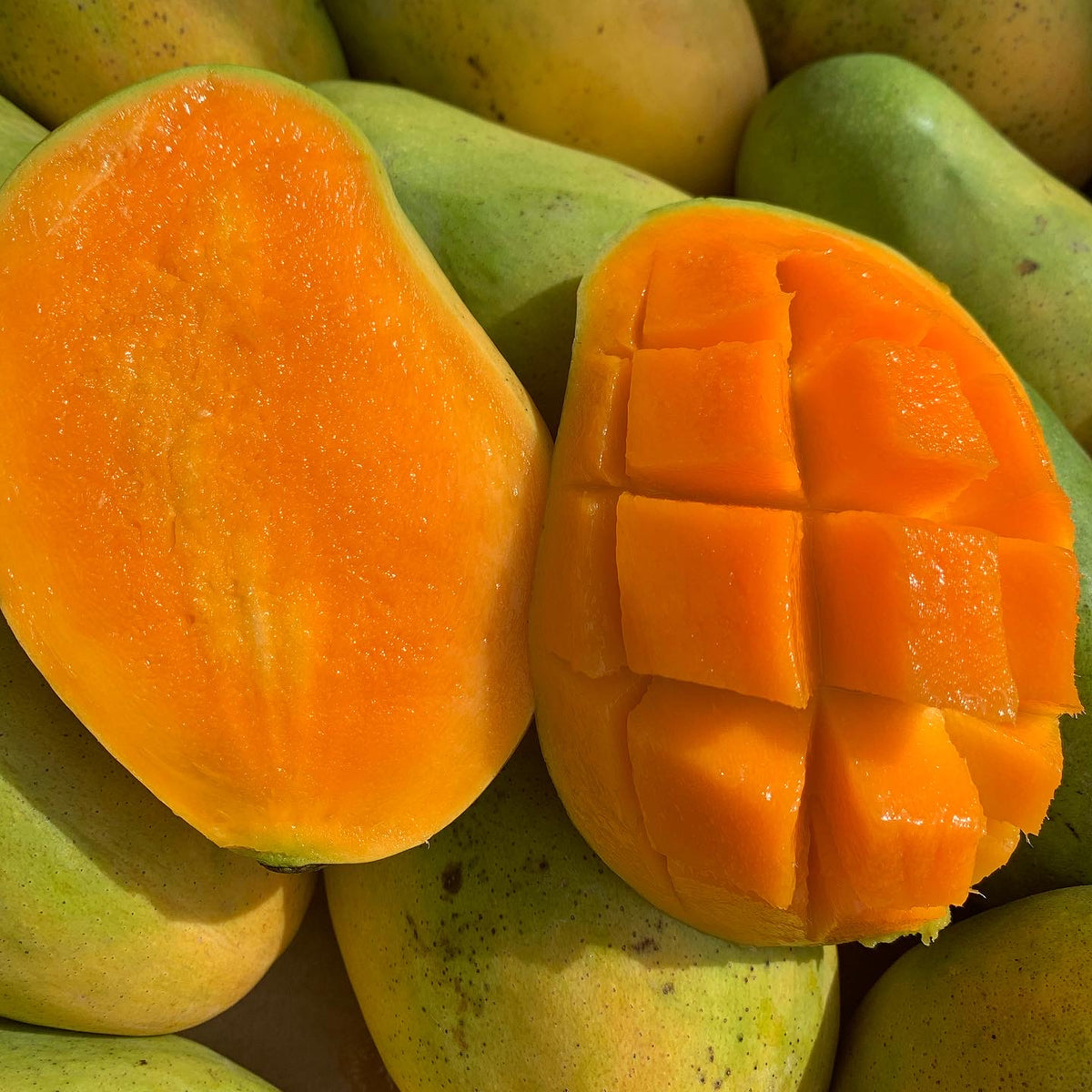 Mango | Haiti Madame Francisk Box- 4 KG (8-12 Mangos) – Pardess Farms