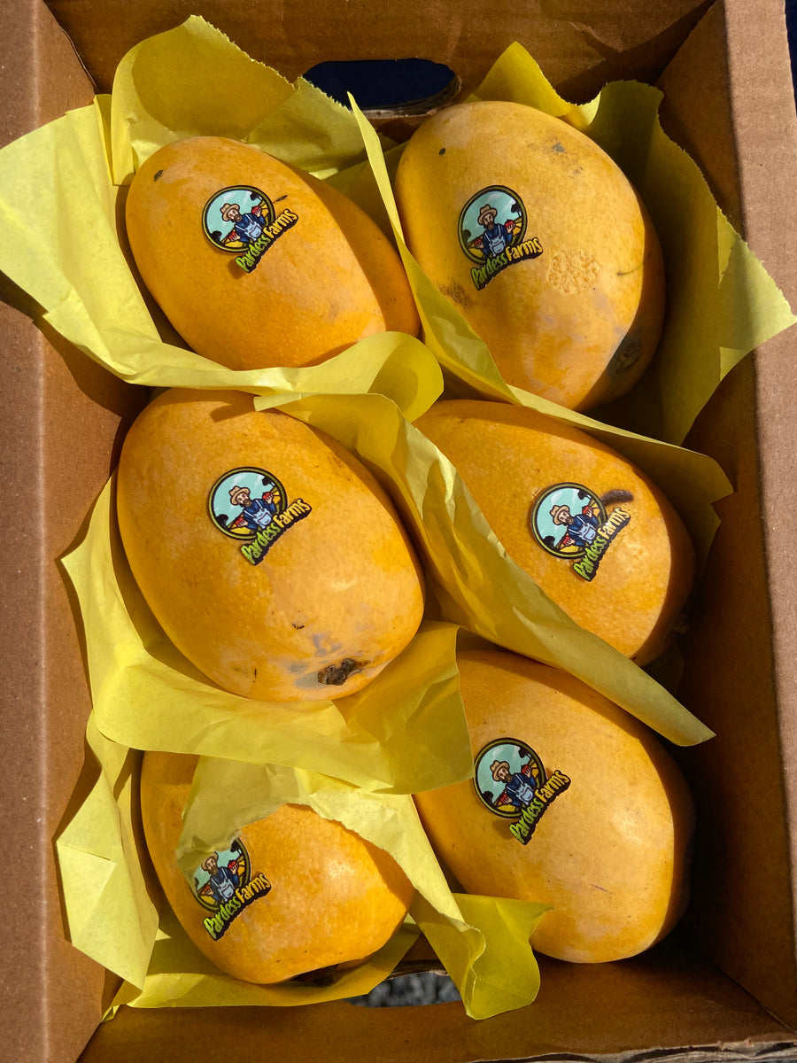 Mango | Pakistani Anwar Ratol (Box of 4-6) *Ultra Rare* – Pardess Farms