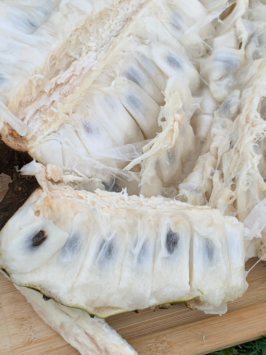 SOURSOP | GUANABANA COROSSOL DOMINICAN REPUBLIC (BOX ~5 LBS 1-8 FRUITS ...