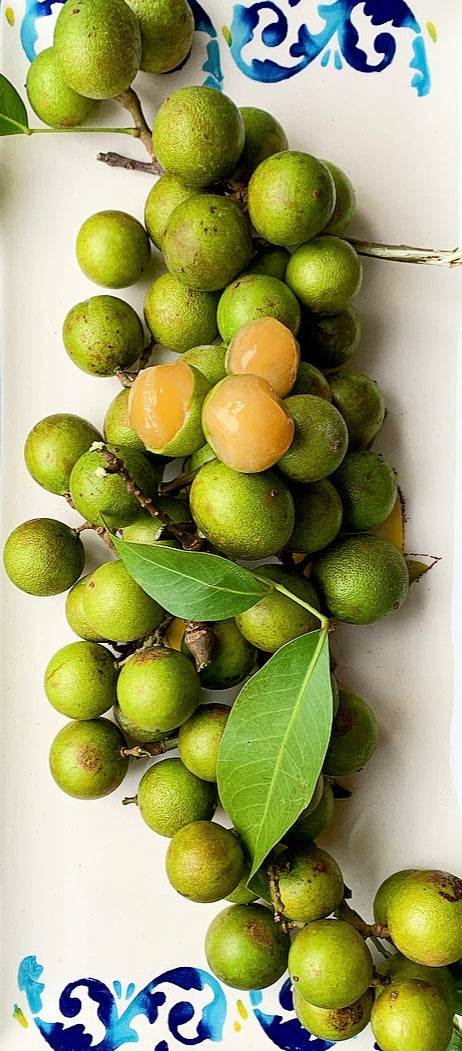 Guinep| Mamoncillo | Spanish Lime | 3lbs – Pardess Farms